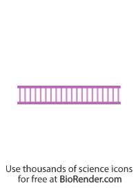 Free RNA Icons, Symbols & Images | BioRender