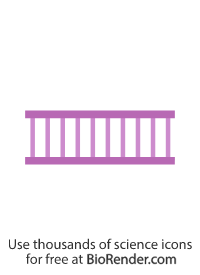 Free RNA Icons, Symbols & Images | BioRender