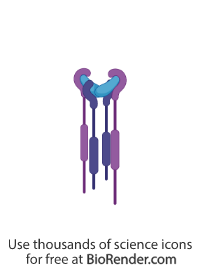 Free Receptors and Ligands Icons, Symbols & Images | BioRender