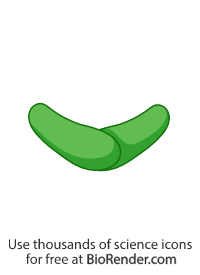 Free TGF beta ligand Icons, Symbols & Images | BioRender