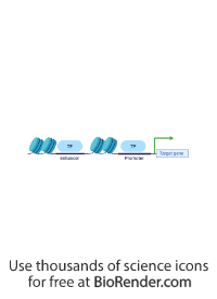 Free Gene regulation-diagram Icons, Symbols & Images | BioRender