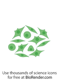 Free Generic Cells Icons, Symbols & Images | BioRender