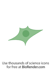 Free HEK 293T cell Icons, Symbols & Images | BioRender