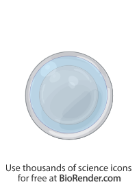 Free Hydrogel (spherical, inner capsule and core) Icons, Symbols ...