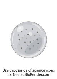 Free Hydrogel (spherical, emulsion) Icons, Symbols & Images | BioRender