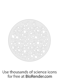 Free Holey carbon film Icons, Symbols & Images | BioRender