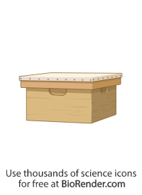 Free Bee hive box Icons, Symbols & Images | BioRender