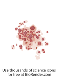 Free Tissue sample (minced) Icons, Symbols & Images | BioRender