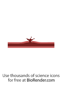 Free Vessel (hemorrhaging, artery) Icons, Symbols & Images | BioRender
