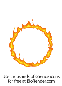 Free Fire (ring) Icons, Symbols & Images | BioRender