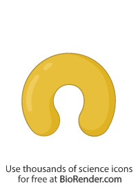 Free Vibrio (c-shaped) Icons, Symbols & Images | BioRender