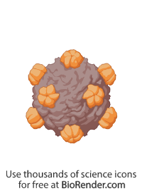 Free Phi X 174 bacteriophage (3D) Icons, Symbols & Images | BioRender