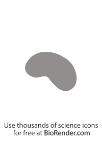 Free HIV (protease) Icons, Symbols & Images | BioRender