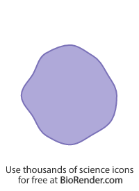 Free Generic Cells Icons, Symbols & Images | BioRender