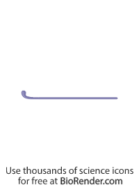 Free Sarcomere (myosin) Icons, Symbols & Images | BioRender