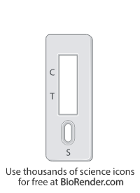 Free Lateral flow test (invalid 2) Icons, Symbols & Images | BioRender