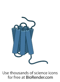 Free GPCR (folded) Icons, Symbols & Images | BioRender