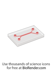 Free Microfluidic device Icons, Symbols & Images | BioRender