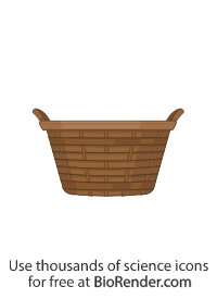 Free Basket Icons, Symbols & Images | BioRender