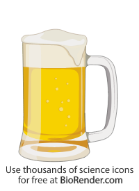 Free Beer mug Icons, Symbols & Images | BioRender