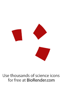 Free DNA break fragments Icons, Symbols & Images | BioRender