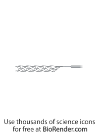 Free Solitaire stent Icons, Symbols & Images | BioRender