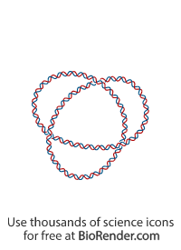 Free DNA (knotted) Icons, Symbols & Images | BioRender