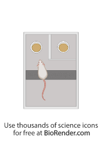 Free Mouse behaviour test Icons, Symbols & Images | BioRender