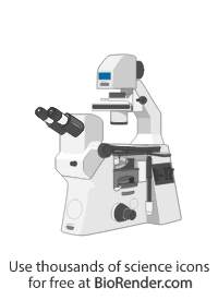 Free Inverted microscope Icons, Symbols & Images | BioRender