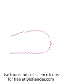 Free RNA Icons, Symbols & Images | BioRender