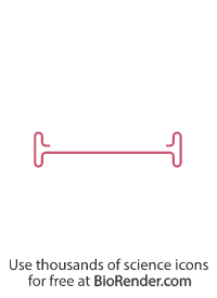 Free AAV genome (ssAAV) Icons, Symbols & Images | BioRender