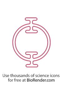 Free AAV genome (circular dimer) Icons, Symbols & Images | BioRender
