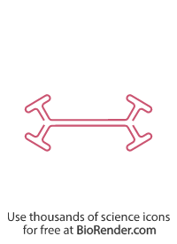 Free AAV genome (strand annealing) Icons, Symbols & Images | BioRender