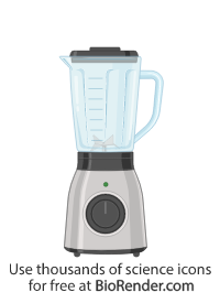 Free Blender Icons, Symbols & Images | BioRender