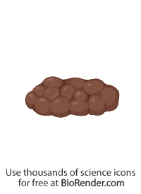 Free Stool (Bristol Scale, type 2) Icons, Symbols & Images | BioRender