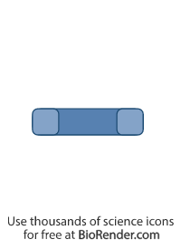 Free Type 6 secretion system (sheath) Icons, Symbols & Images | BioRender