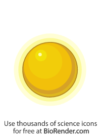 Free Nanoparticles Icons, Symbols & Images | BioRender