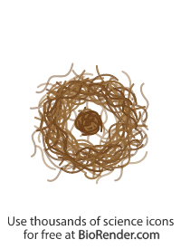 Free Amyloid-beta plaque (dense) Icons, Symbols & Images | BioRender