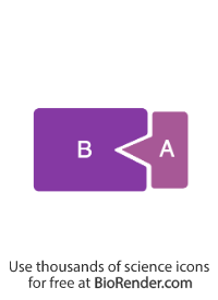 Free Enzymes Icons, Symbols & Images | BioRender