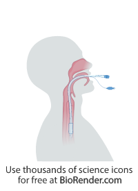 Free Tracheal tube (on body) Icons, Symbols & Images | BioRender