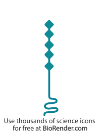 Free SCARF1 Icons, Symbols & Images | BioRender