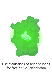 Free Generic fluorescent protein (surface structure) Icons, Symbols ...