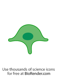 Free Anchor cell 3 Icons, Symbols & Images | BioRender