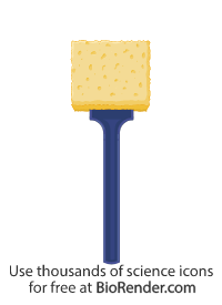 Free Sponge stick Icons, Symbols & Images | BioRender