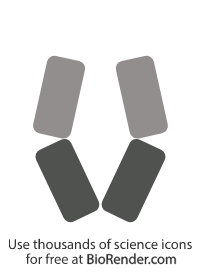 Free Antibody fragment (Fc homodimer) Icons, Symbols & Images | BioRender