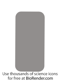 Free Antibody fragment (Fc) Icons, Symbols & Images | BioRender