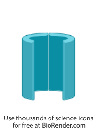 Free Translocon Icons, Symbols & Images | BioRender