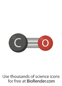 Free Carbon monoxide Icons, Symbols & Images | BioRender