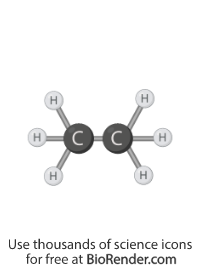 Free Functional group (alkane) Icons, Symbols & Images | BioRender