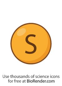 Free Element, Sulfur Icons, Symbols & Images | BioRender
